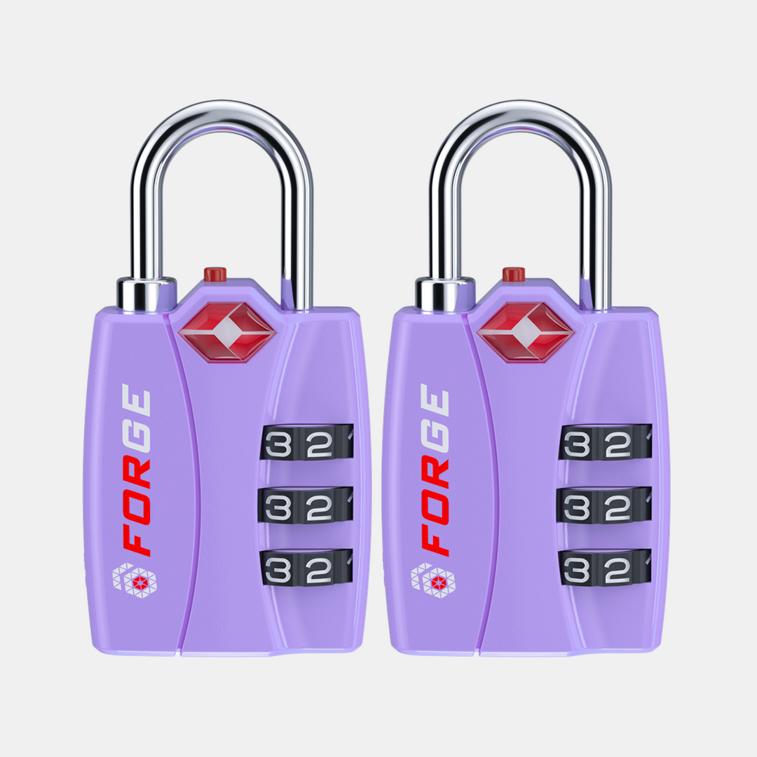 12022 Series – Forge Life LLC